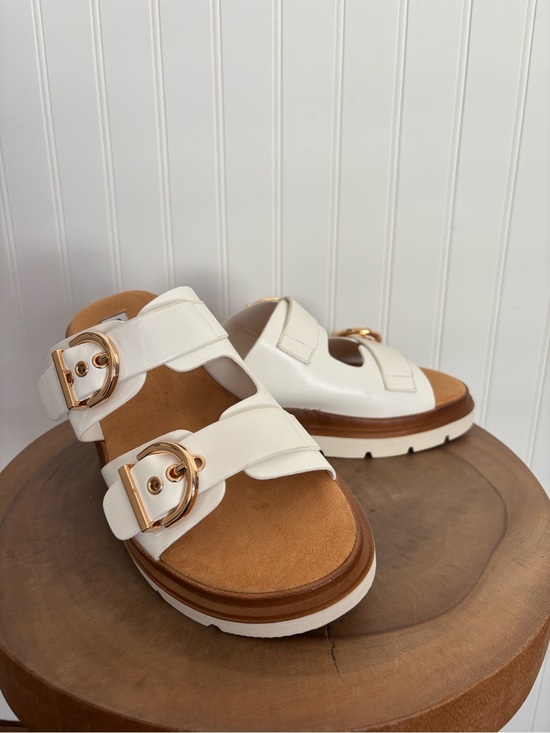 Steve Madden | Shoes | Steve Madden White Doublebuckle Platform Sandals ...